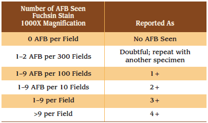 Ziehl-Neelsen Stain (ZN-Stain) : Principle, Procedure, Reporting and ...