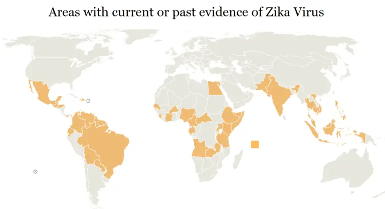 Zika Virus : Structure, Epidemiology, Pathogenesis, Symptoms ... Zika Virus : Structure, Epidemiology, Pathogenesis, Symptoms ...
