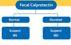 Fecal Calprotectin Test - Laboratoryinfo.com