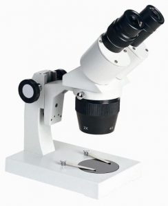 Simple Microscope - Parts, Functions, Diagram and Labelling ...
