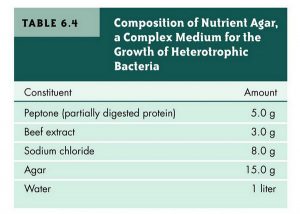 What is Nutrient Agar – Composition, How to Prepare and Uses ...