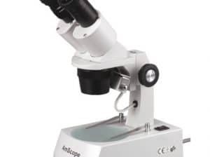 Stereo Microscope - Parts, Types and Uses - Laboratoryinfo.com