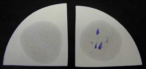 What is Oxidase Test ? Principle, Composition, Interpretation of ...