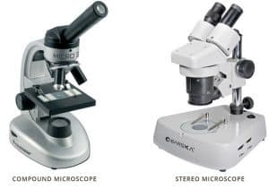 Stereo Microscope - Parts, Types and Uses - Laboratoryinfo.com