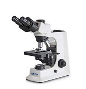Compound Microscope - Types, Parts, Diagram, Functions and Uses ...