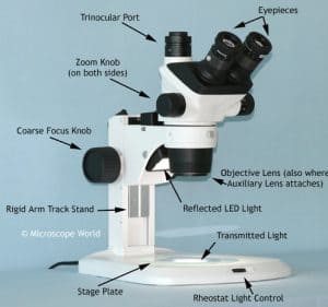 Types of Microscopes - Laboratoryinfo.com