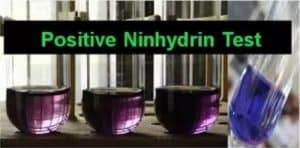 Ninhydrin Test – Procedure, Uses, Principle and Result – Laboratoryinfo.com