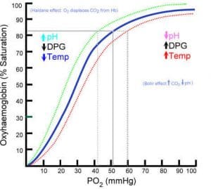 Haldane Effect - Definition, (Vs Bohr effect) and Mnemonic ...