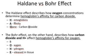 Haldane Effect - Definition, (Vs Bohr effect) and Mnemonic ...