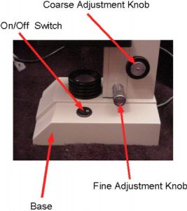 Parts of the Microscope with Labeling (also Free Printouts ...